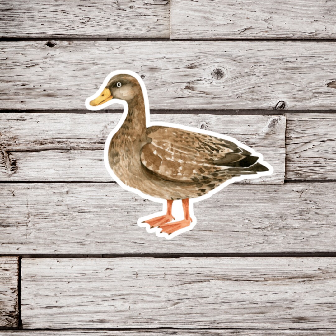 Mallard Sticker, Female Mallard Duck Sticker, Duck Sticker, Bird ...