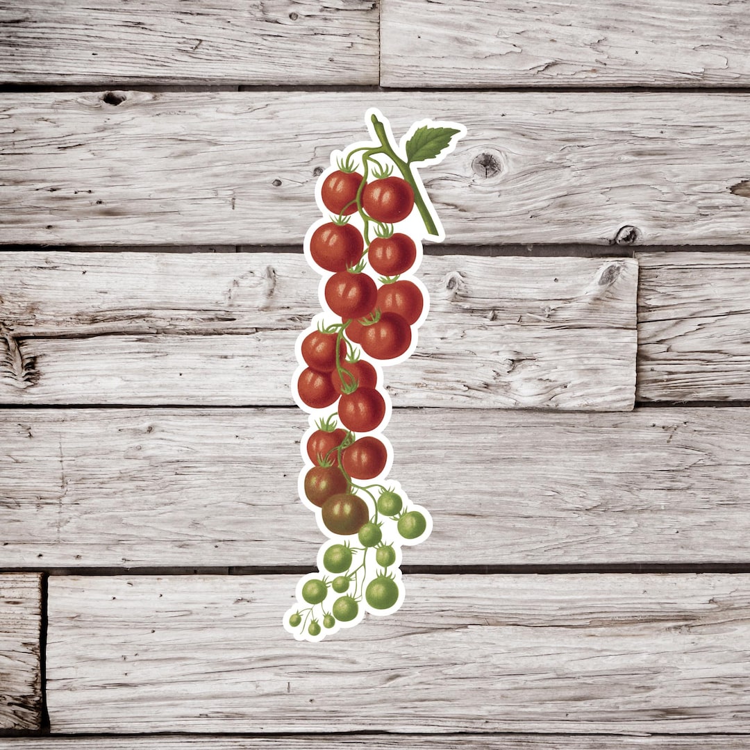 Tomato Sticker, Vegetable Sticker, Fruit Sticker, Botanical Sticker ...