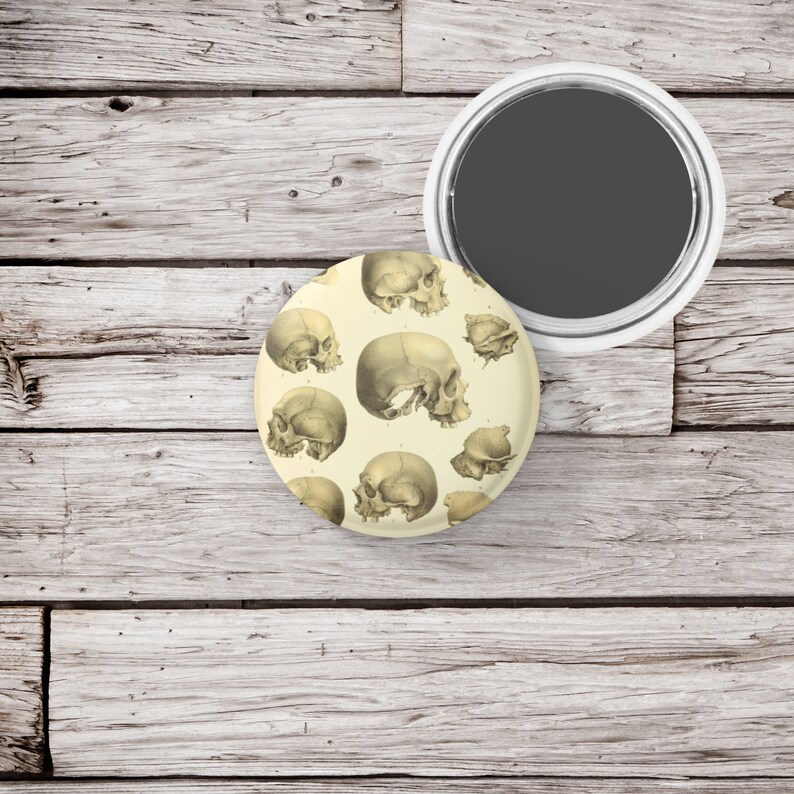Skull Pin, Skull Pin Back Button, Skeleton Pin, Natural History Pin ...