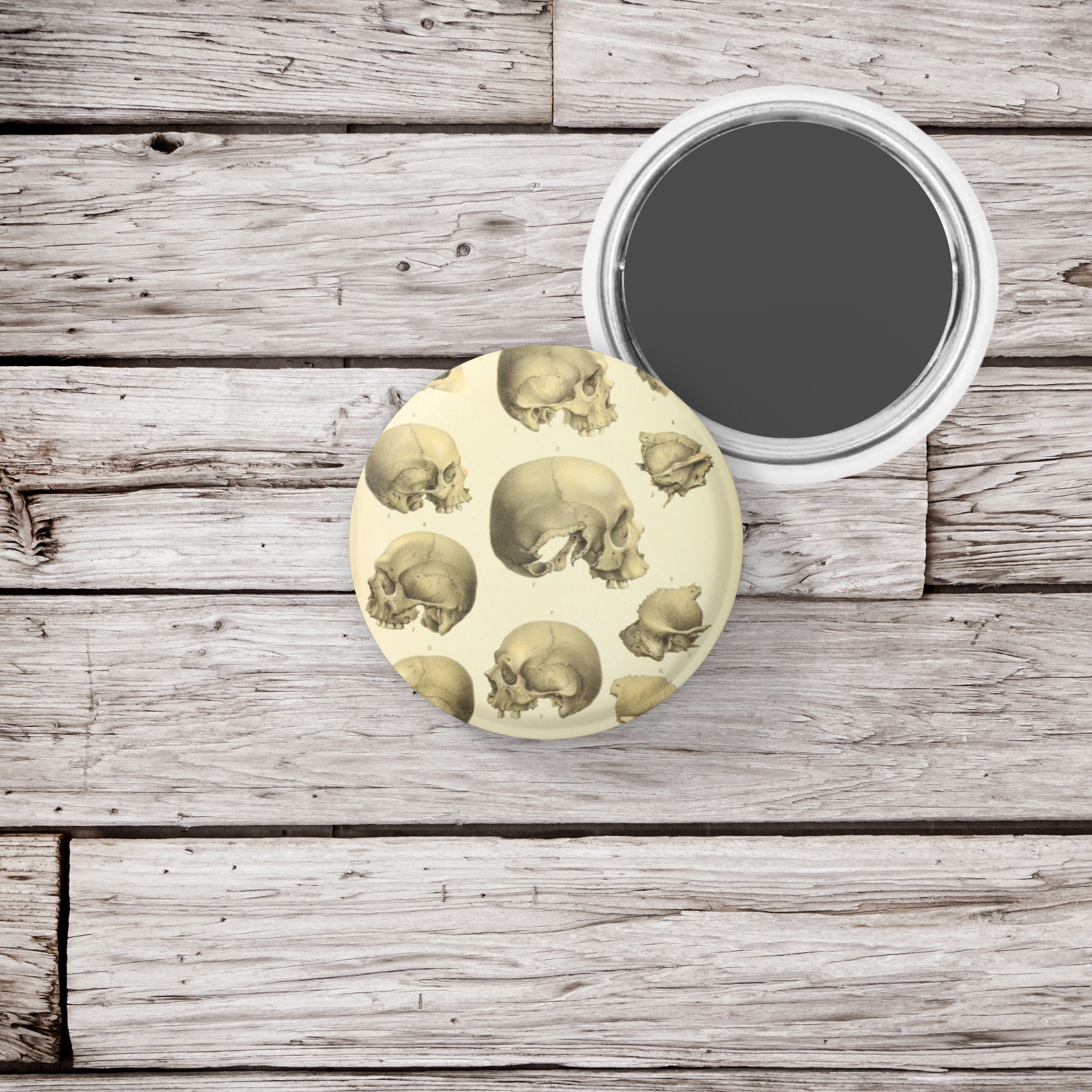 Skull Pin, Skull Pin Back Button, Skeleton Pin, Natural History Pin ...
