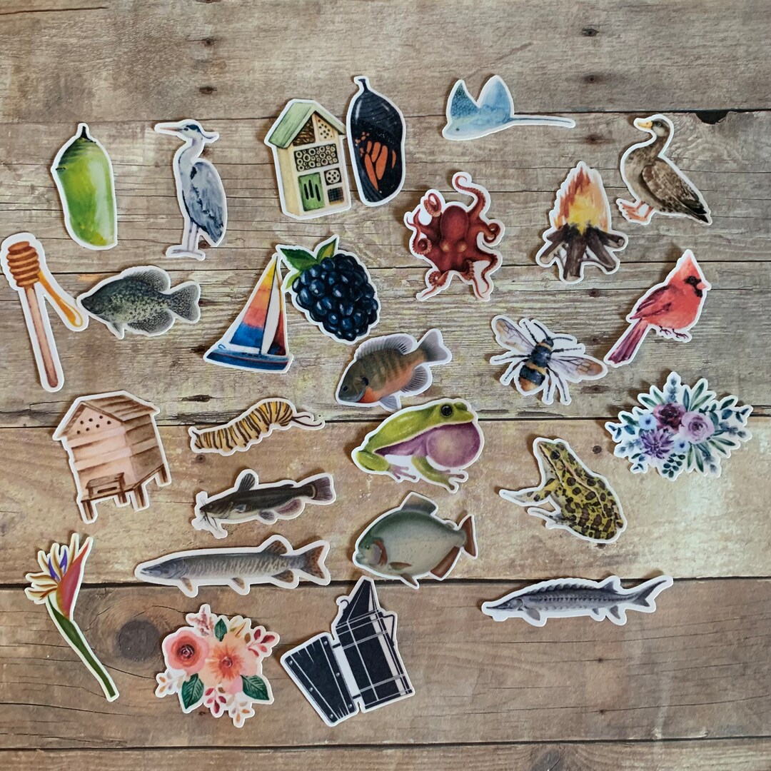 Mystery Mini Sticker Pack, Random Sticker Pack, Assorted Small Sticker ...