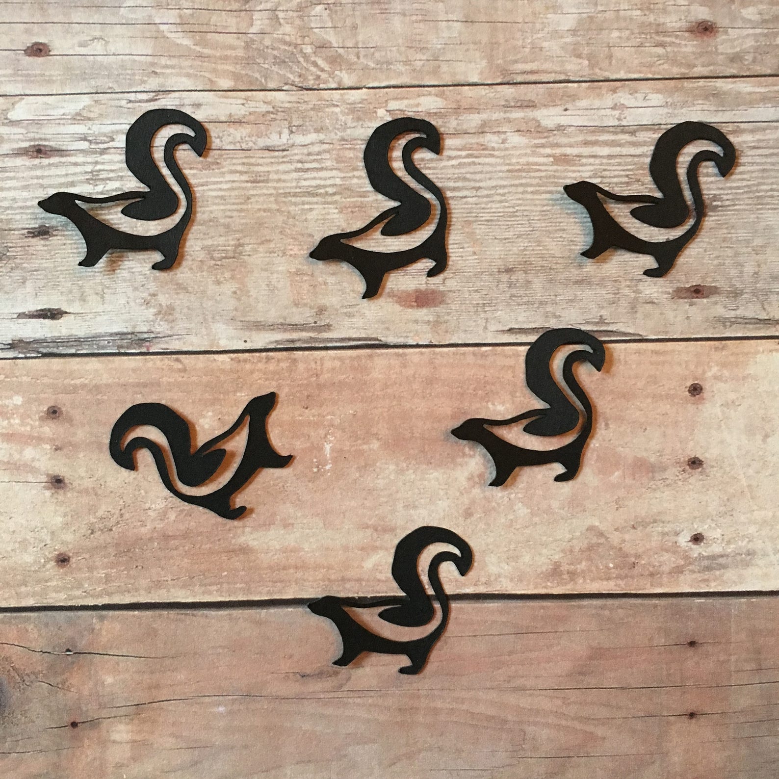 Skunk Confetti Skunk Cut Outs Skunk Decorations Woodland | Etsy