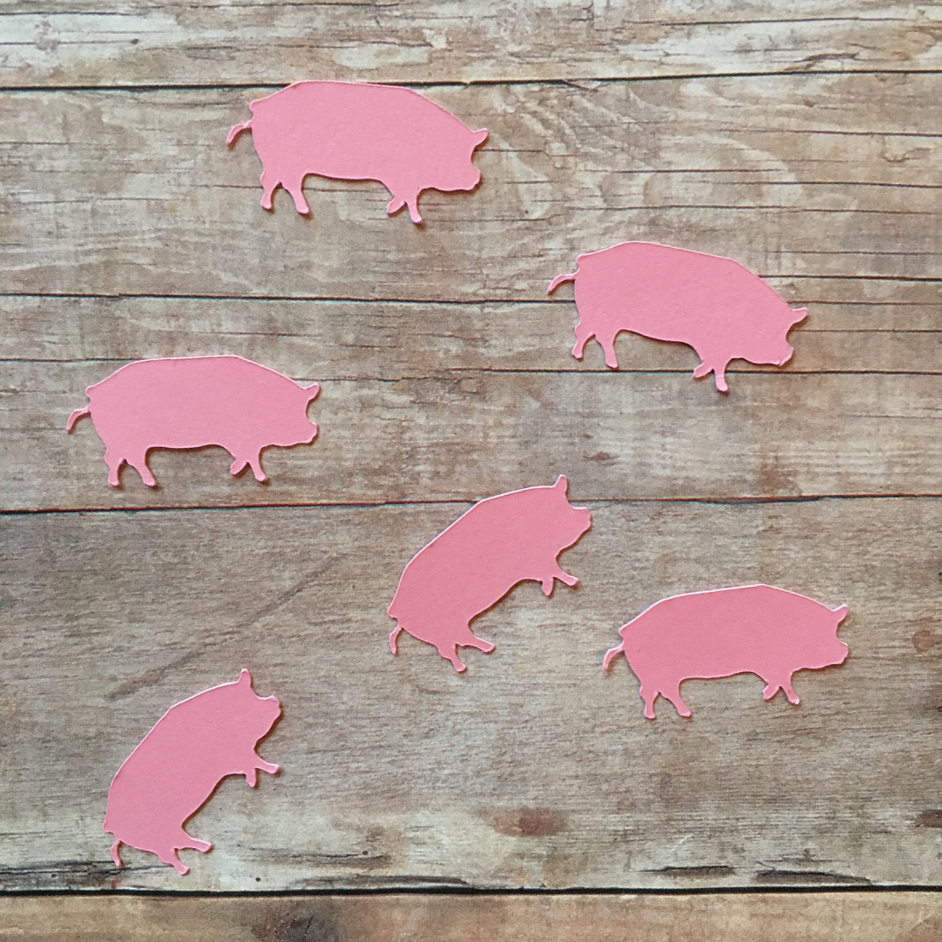 Hog Confetti Hog Cut Outs Pig Confetti Farm Confetti - Etsy