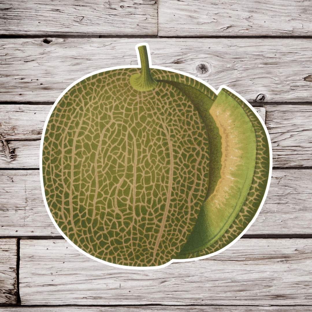 Melon Sticker, Fruit Sticker, Cantaloupe Sticker, Muskmelon Sticker ...