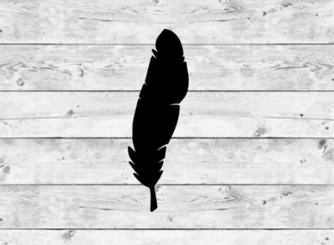 Feather Decal Feather Vinyl Decal Feather Sticker Bird | Etsy