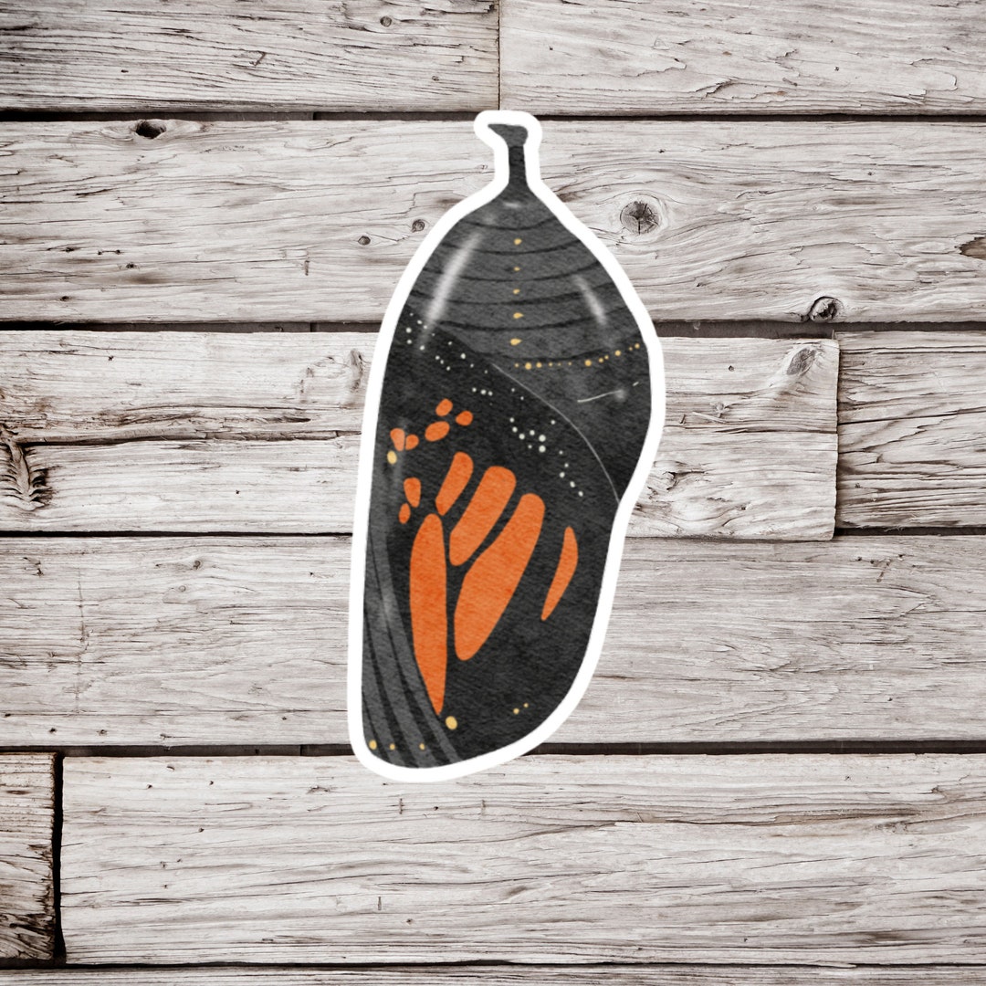 Monarch Chrysalis Sticker, Chrysalis Sticker, Butterfly Sticker ...