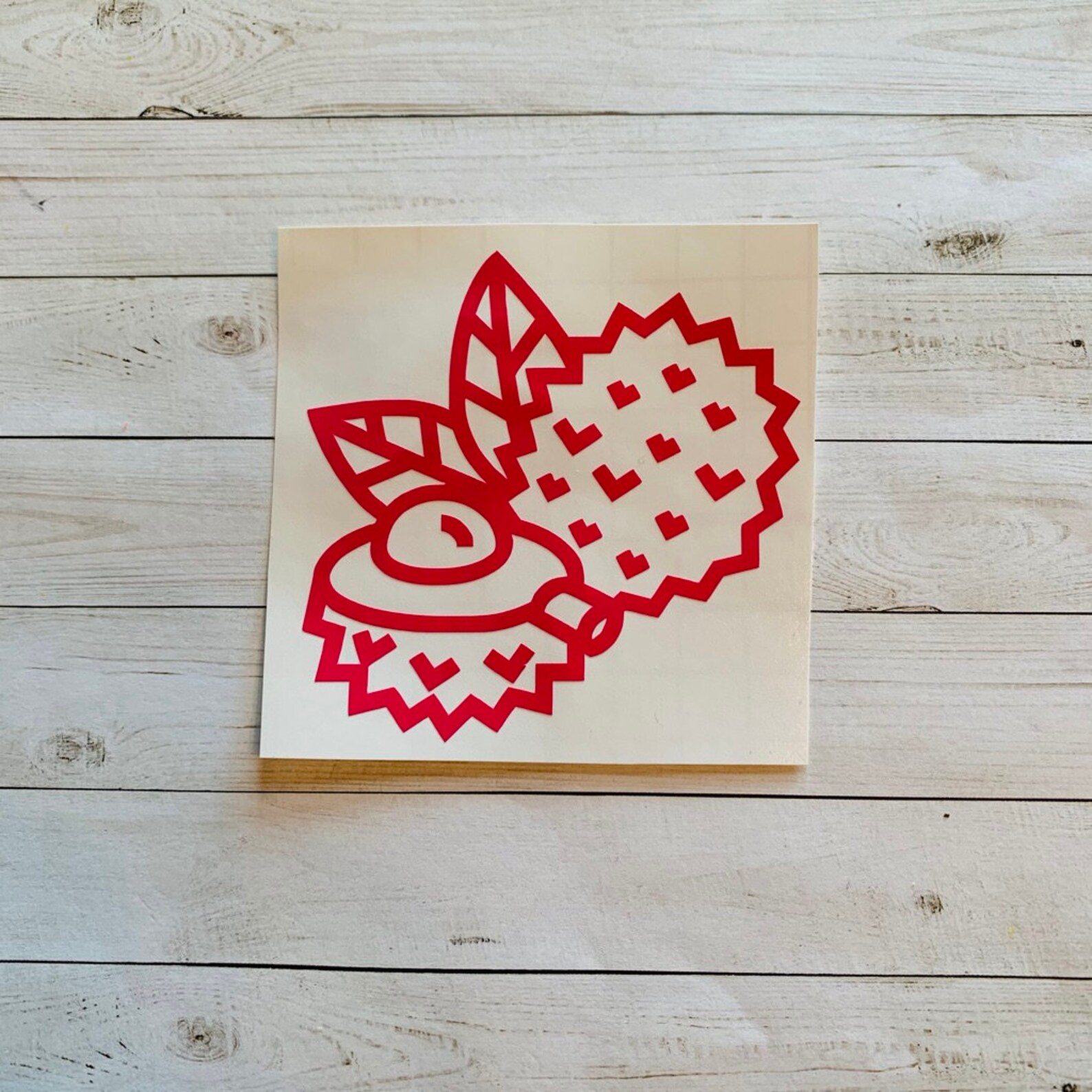 Lychee Decal Lychee Sticker Lychee Decoration Fruit - Etsy