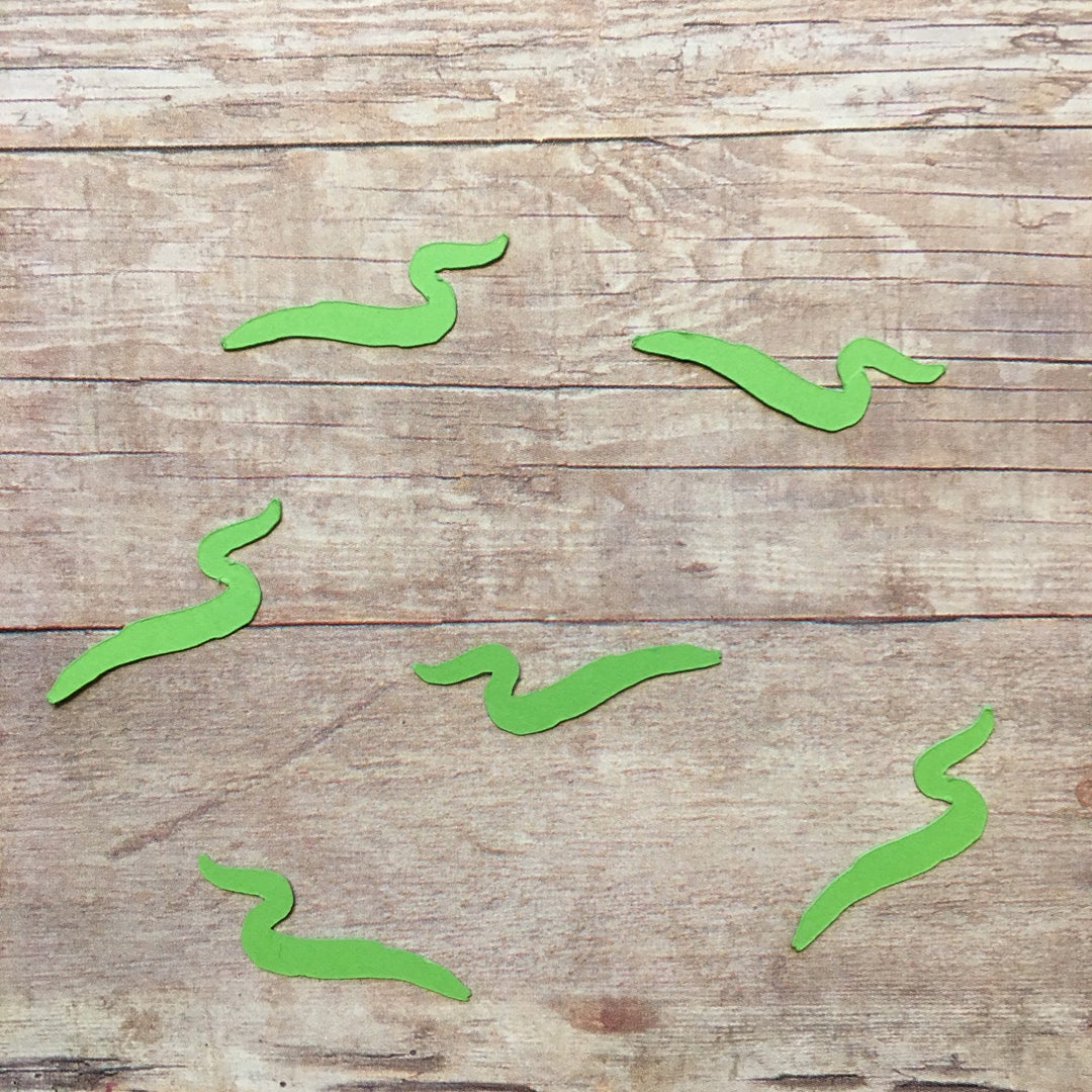 Eel Confetti | Eel Cut Out | Eel Decoration | Animal Confetti | Animal ...