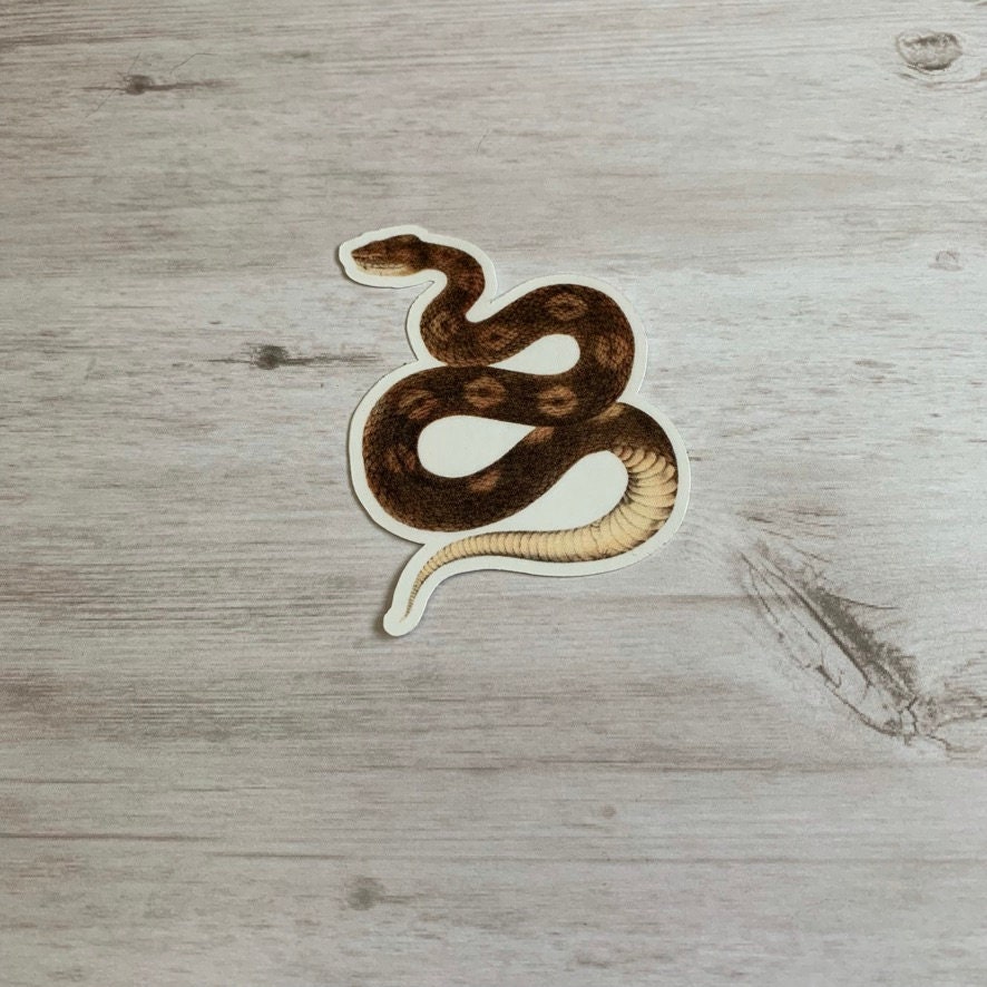 Snake Sticker or Magnet Snake Sticker Snake Magnet - Etsy