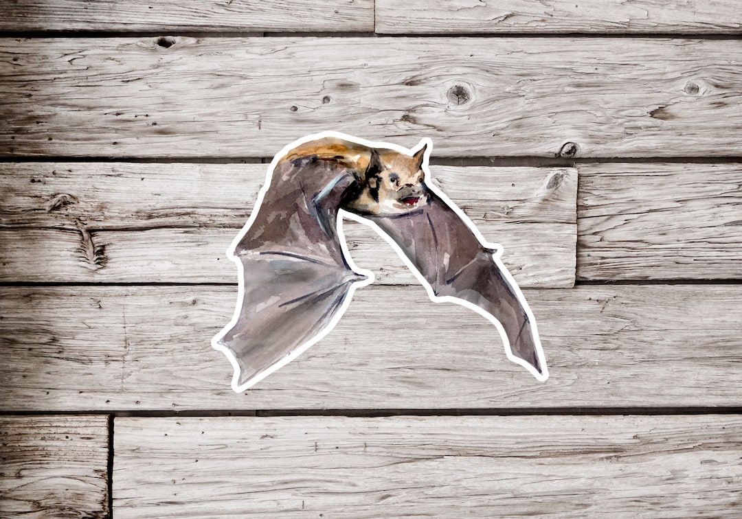 Bat Sticker or Magnet, Bat Sticker, Animal Sticker, Waterproof Sticker ...