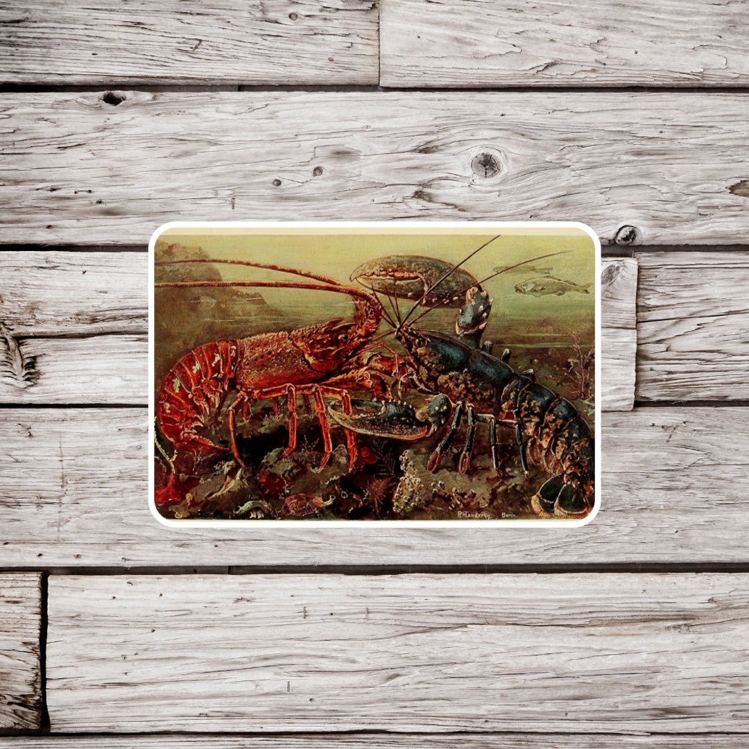 Lobster Sticker, Natural History Sticker, Waterproof Sticker, Vintage ...