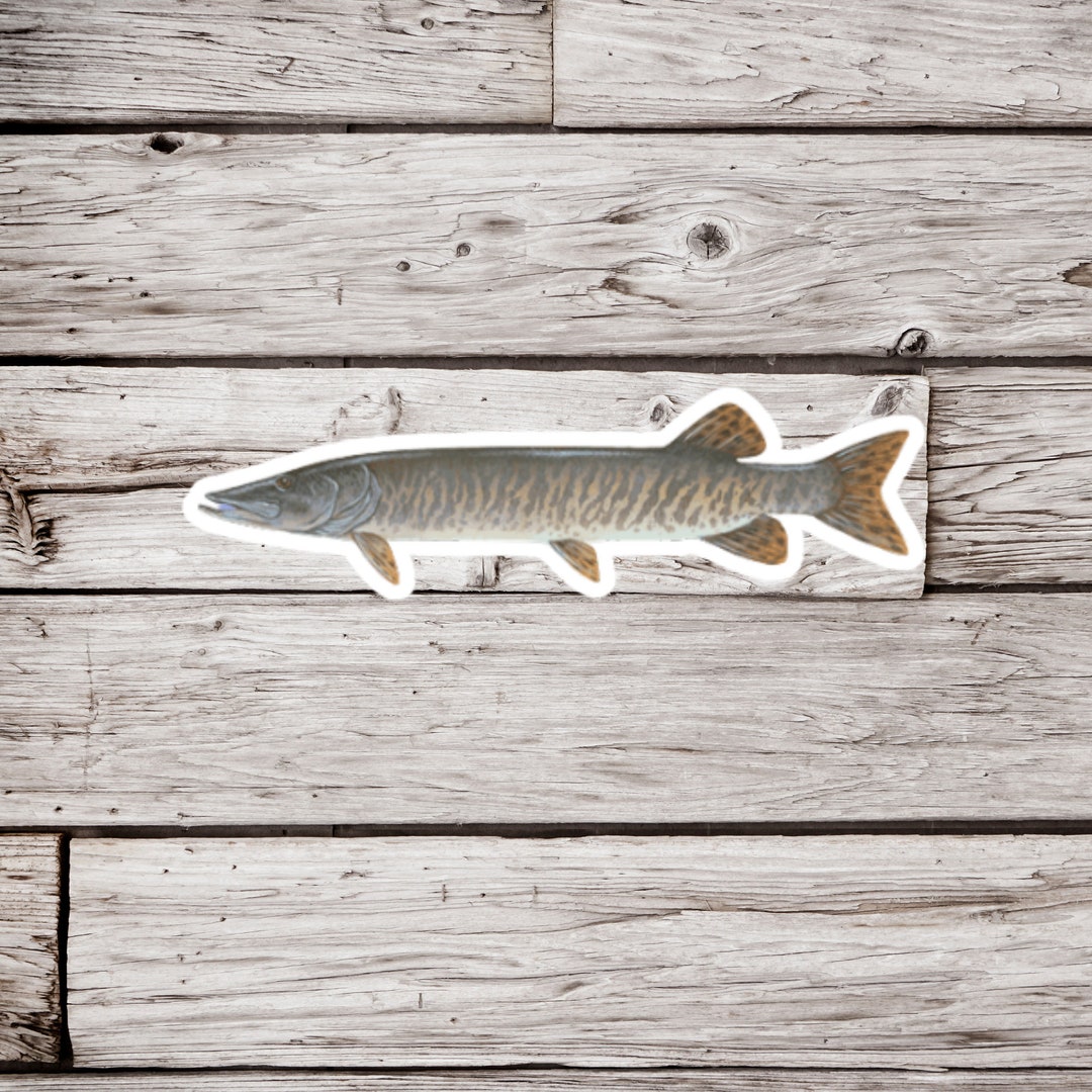 Muskie Sticker, Muskellunge Sticker, Waterproof Sticker, Fish Sticker ...
