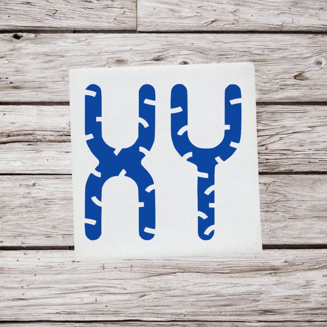 Chromosomes Decal | XY Vinyl Decal | XY Chromosome Sticker | Science ...