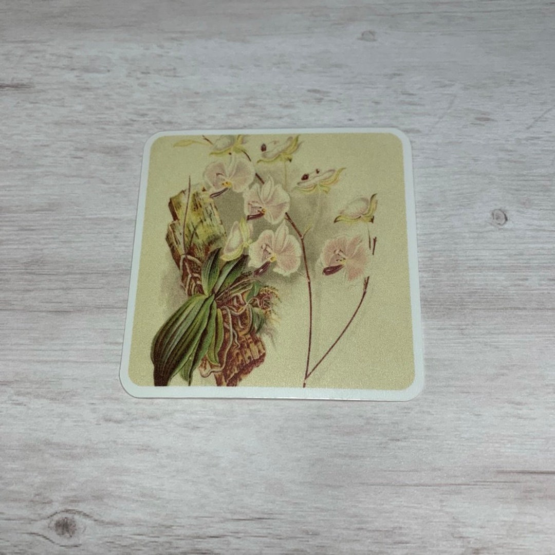 Orchid Sticker or Magnet, Vintage Orchid Sticker, Waterproof Sticker ...