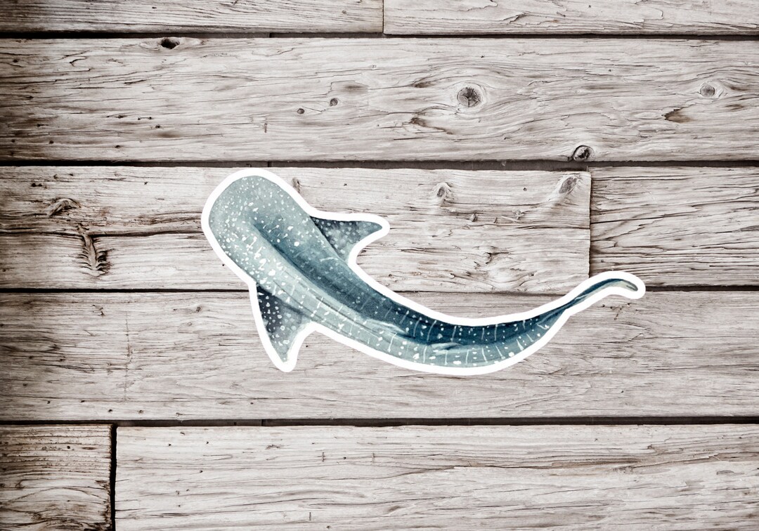 Whale Shark Sticker, Shark Sticker, Whale Sticker, Waterproof Sticker ...
