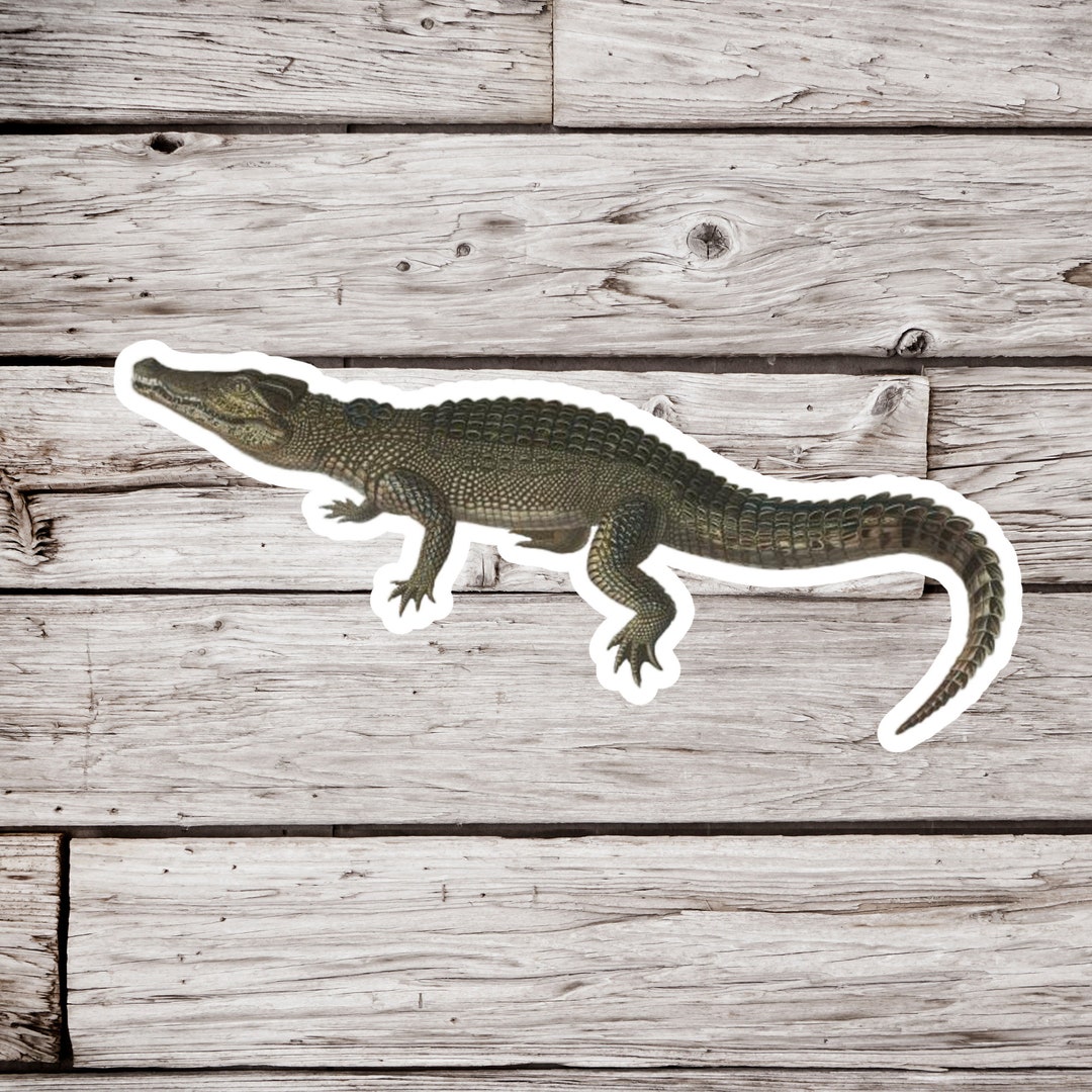 Crocodile Sticker or Magnet, Crocodile Sticker, Alligator Sticker ...