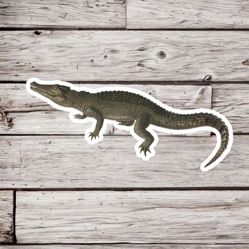 Crocodile Stickers - Etsy