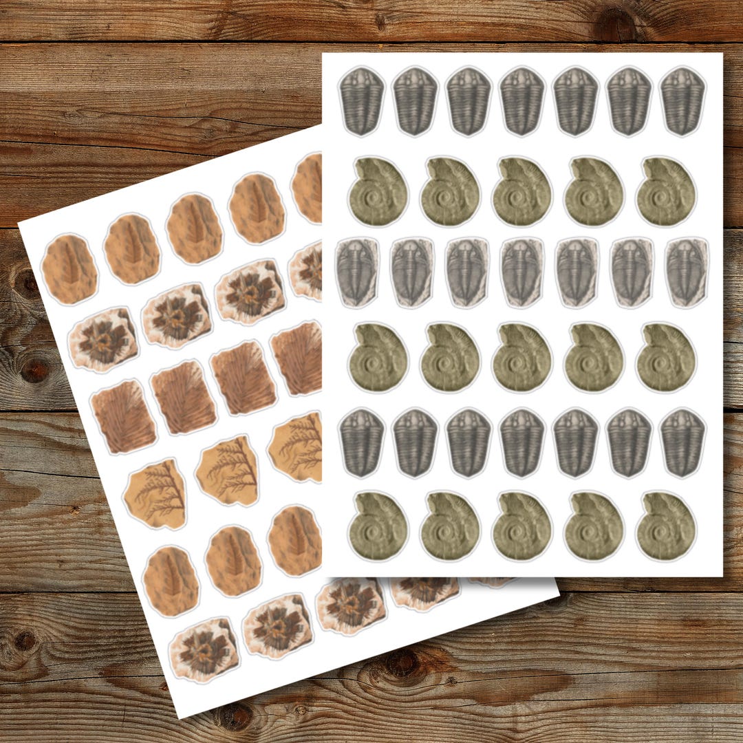 Fossil Sticker Sheet, Fossil Stickers, 8.5x11" Sticker Sheet, Trilobite ...