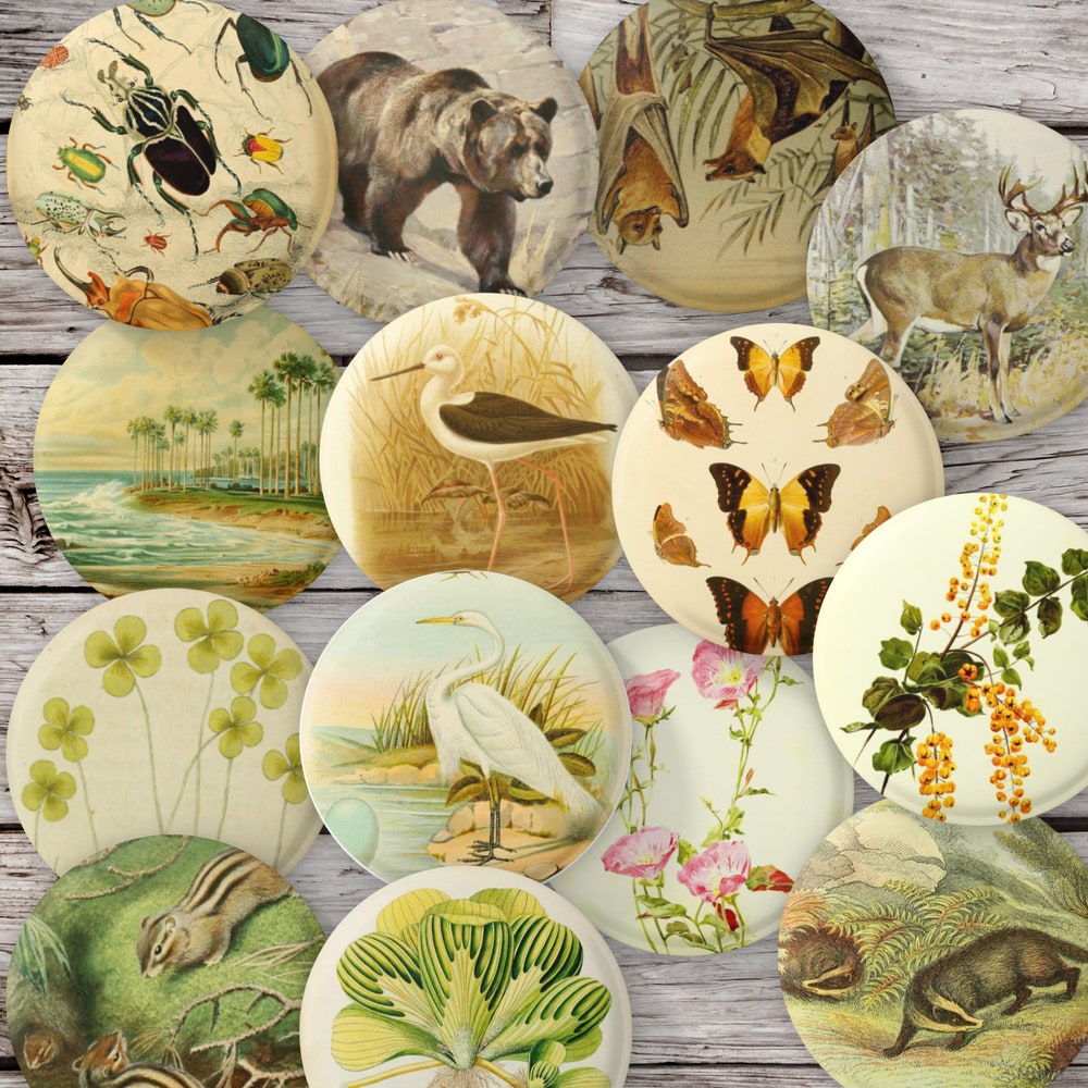 NatureCuts - Etsy