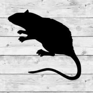Rat Decal | Rat Vinyl Decal | Rat Sticker | Rat Car Decal | Rat Water ...