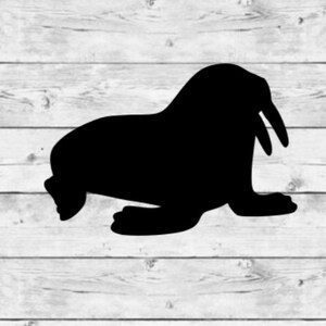 Walrus Decal | Walrus Vinyl Decal | Walrus Sticker | Seal Sticker ...