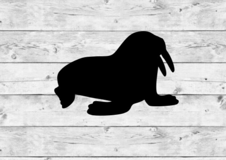 Walrus Decal Walrus Vinyl Decal Walrus Sticker Seal - Etsy