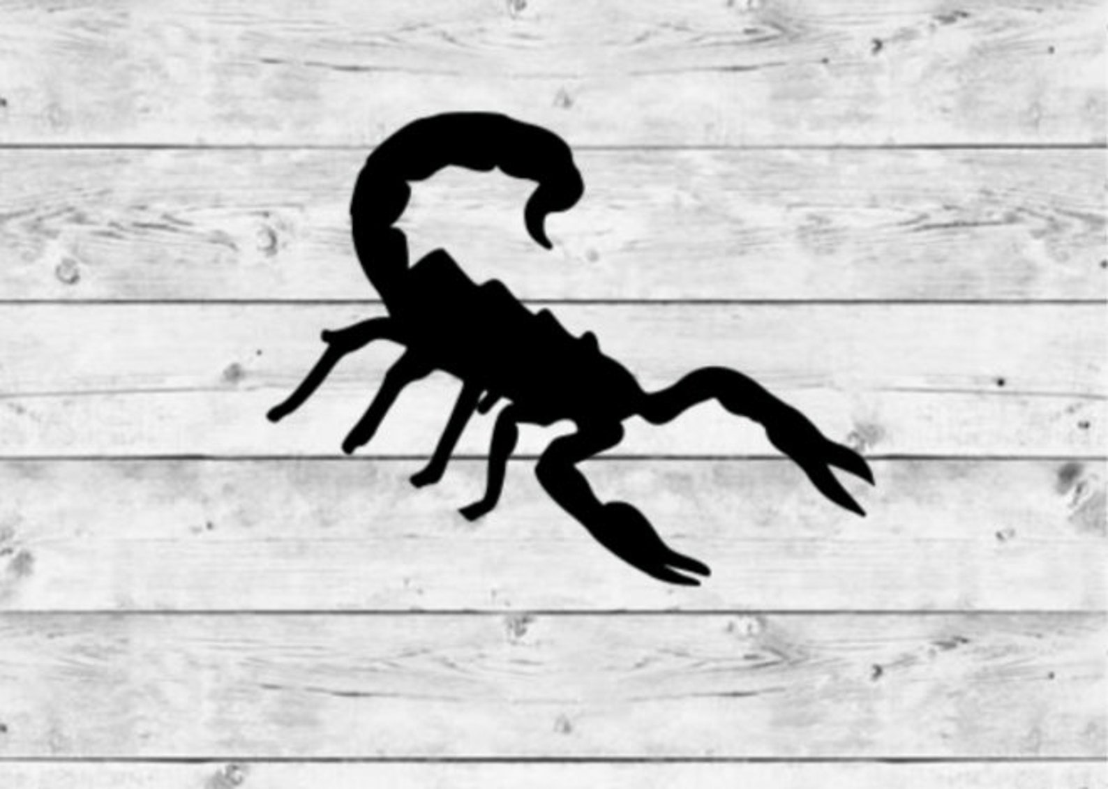 Scorpion Decal Scorpion Vinyl Decal Scorpion Sticker - Etsy