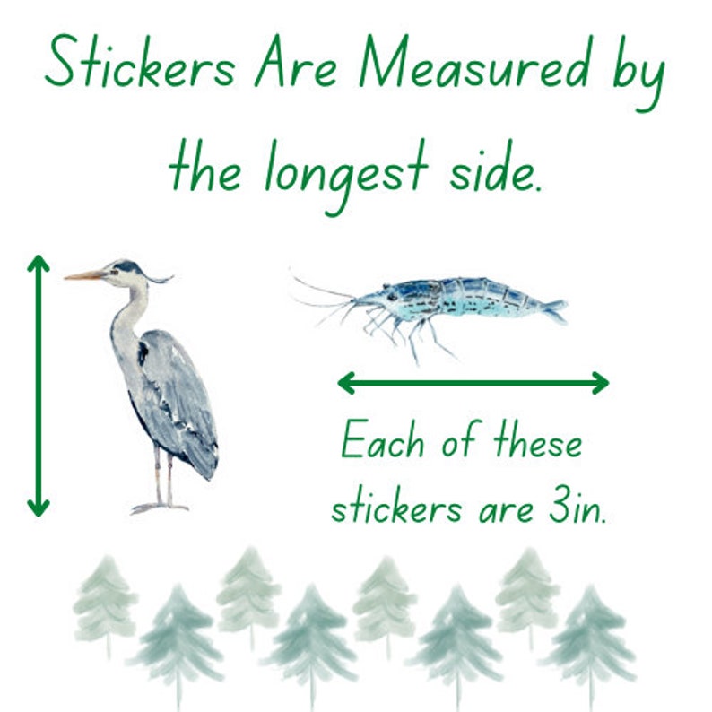 Acacia Tree Sticker, Tree Sticker, Mimosa Tree Sticker, Wattles Tree ...