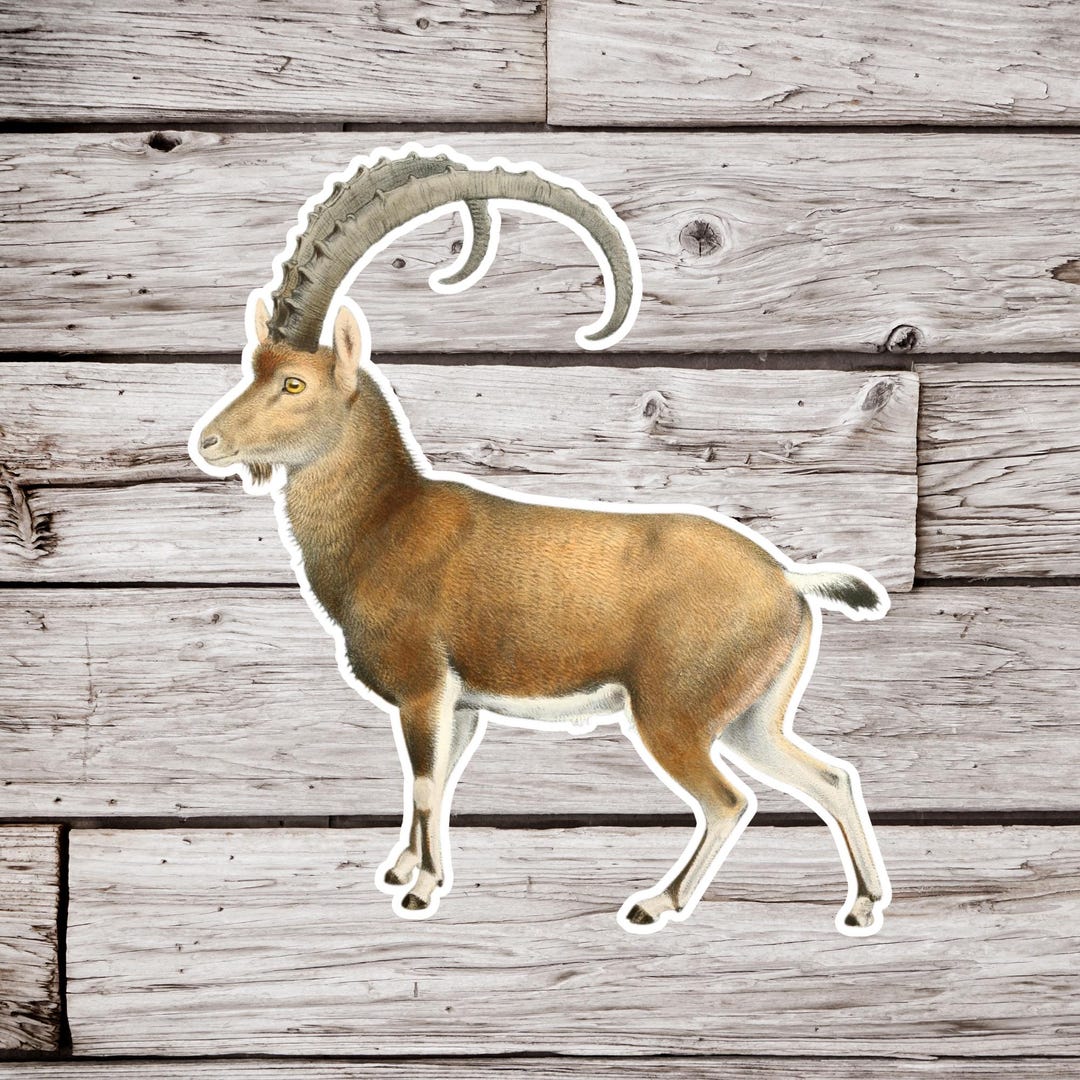 Alpine Ibex Sticker, Steinbock Sticker, Goat Sticker, Animal Sticker ...