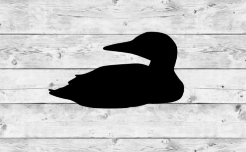 Loon Decal Loon Vinyl Decal Loon Sticker Duckling Decal | Etsy