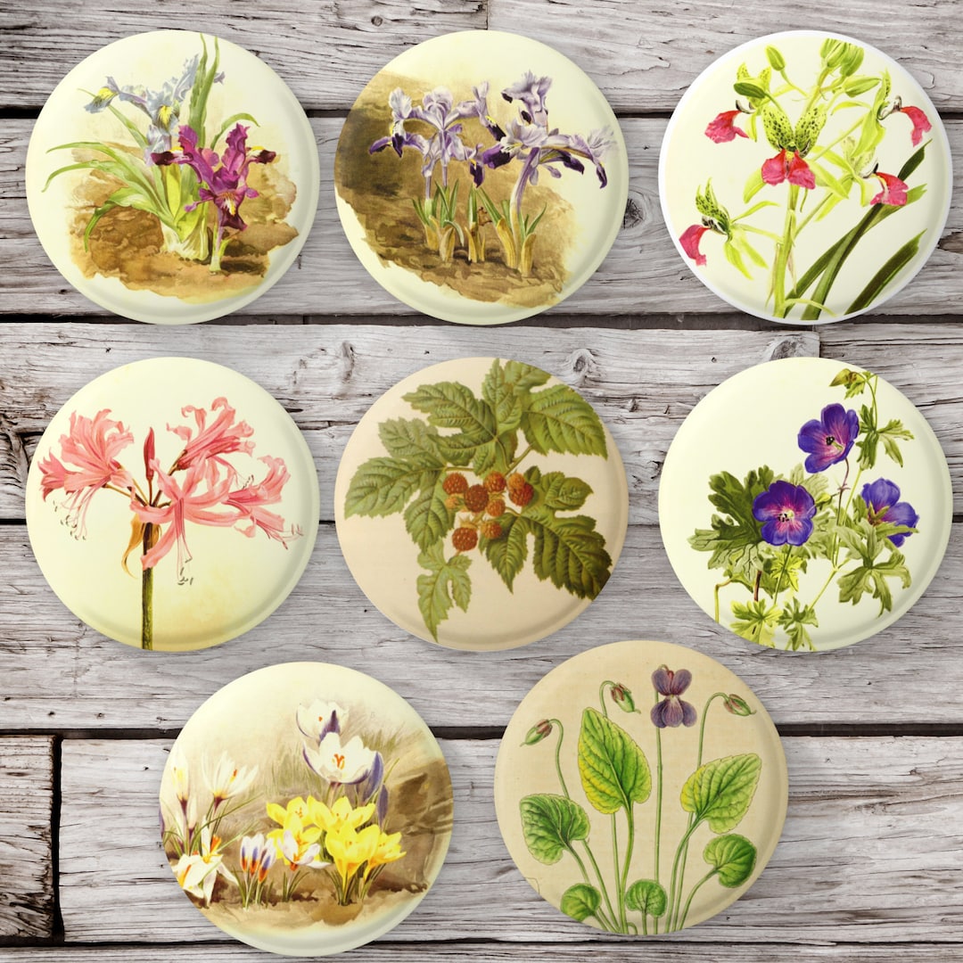 Botanical Themed Pins, Random Assortment of Pins, Flower Pins, Plant ...