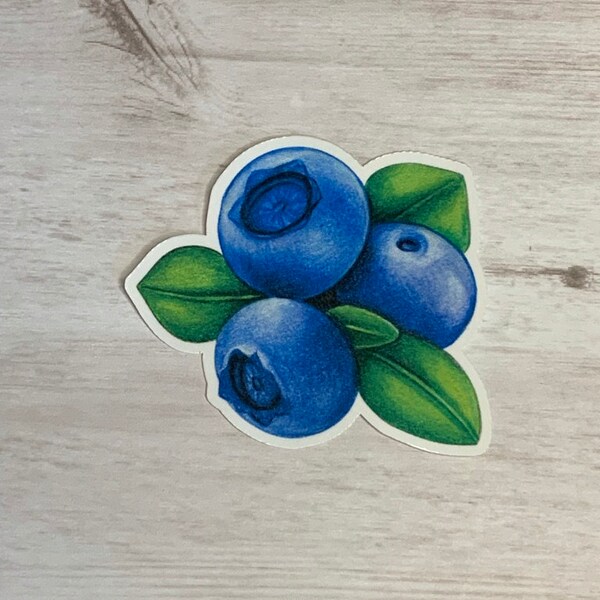 Blueberry - Etsy