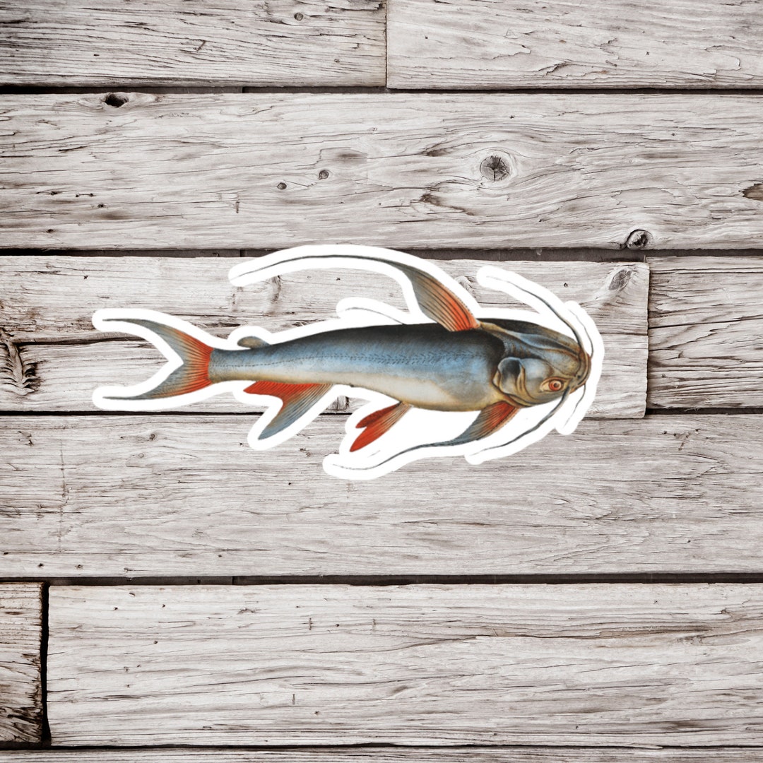 Catfish Sticker, Hardhead Catfish Sticker, Fish Sticker, Saltwater ...