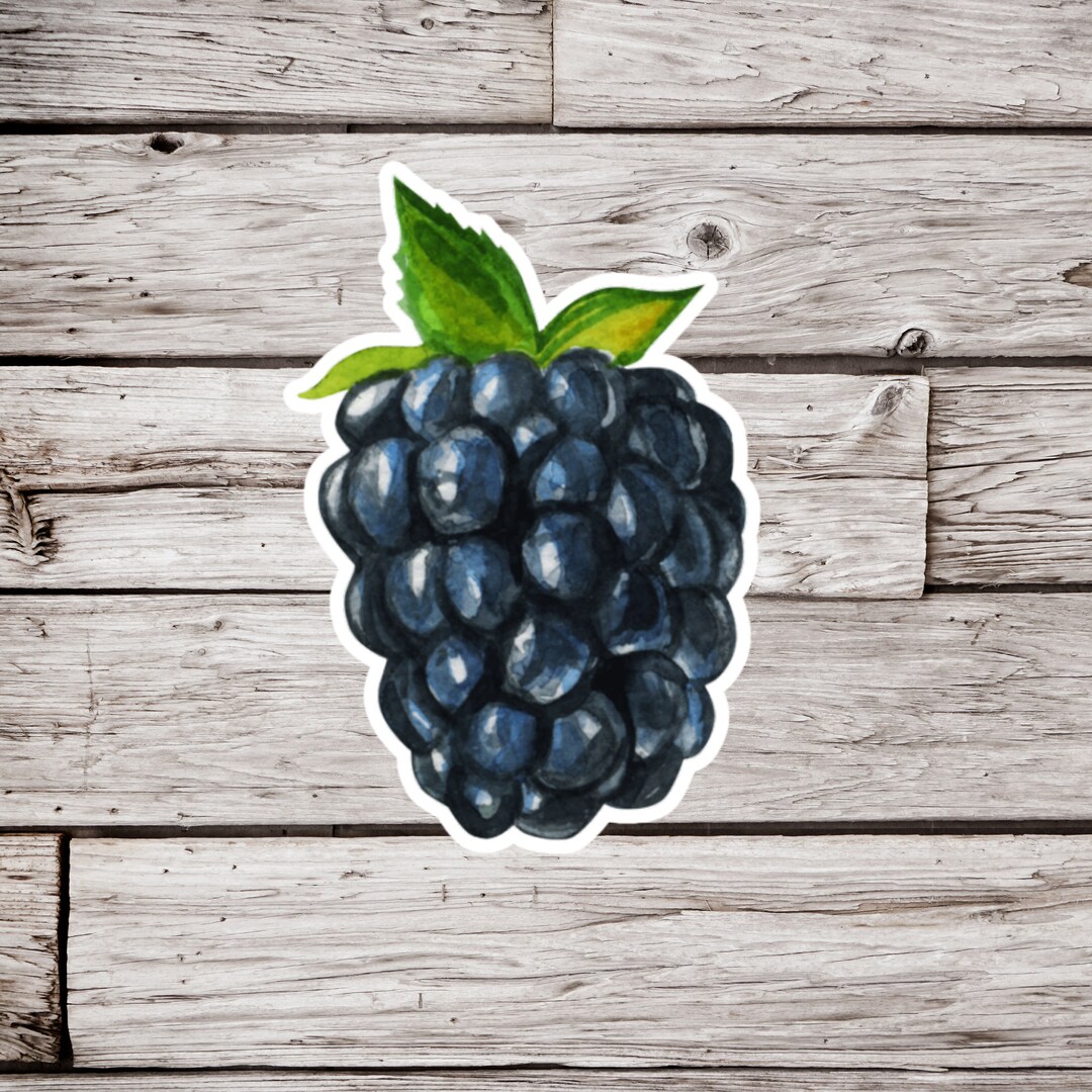 Blackberry Sticker, Berry Sticker, Fruit Sticker, Plant Sticker ...
