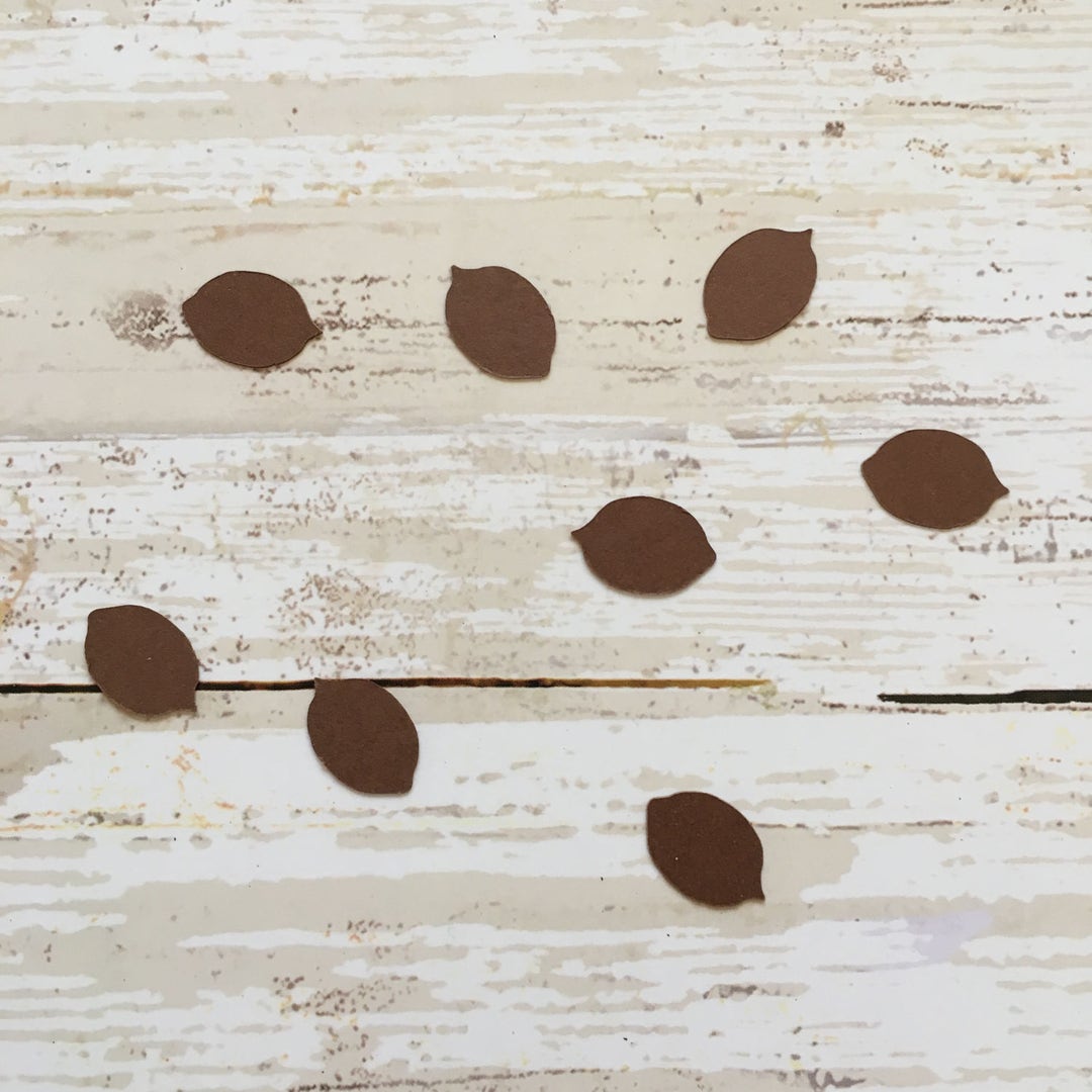 Coconut Confetti | Coconut Cut Outs | Coconut Die Cuts | Tropical ...