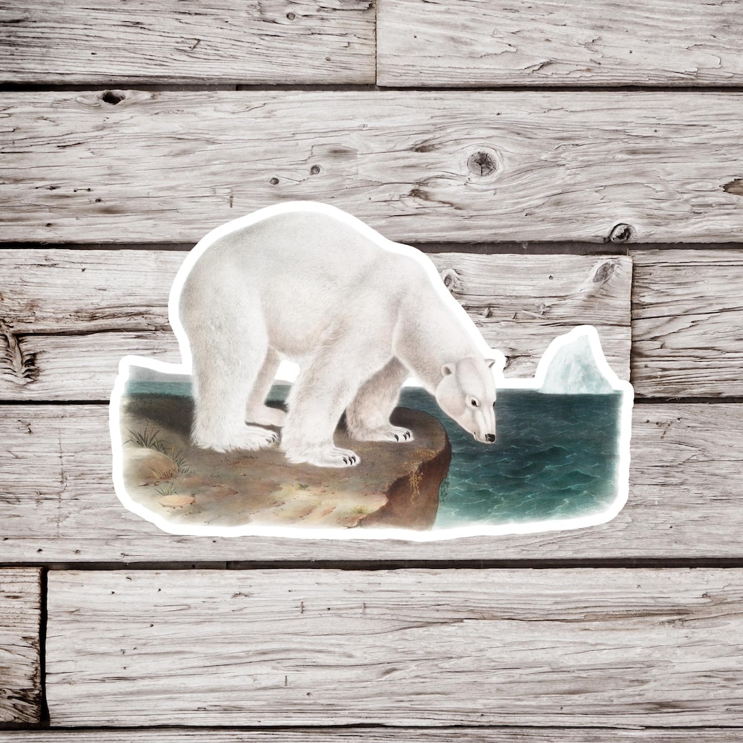 Polar Bear Sticker, Bear Sticker, Animal Sticker, Wildlife Sticker ...
