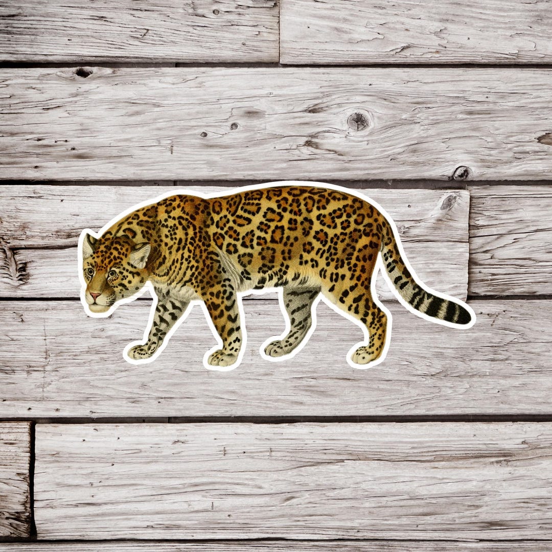 Jaguar Sticker, Wildlife Sticker, Animal Sticker, Waterproof Sticker ...