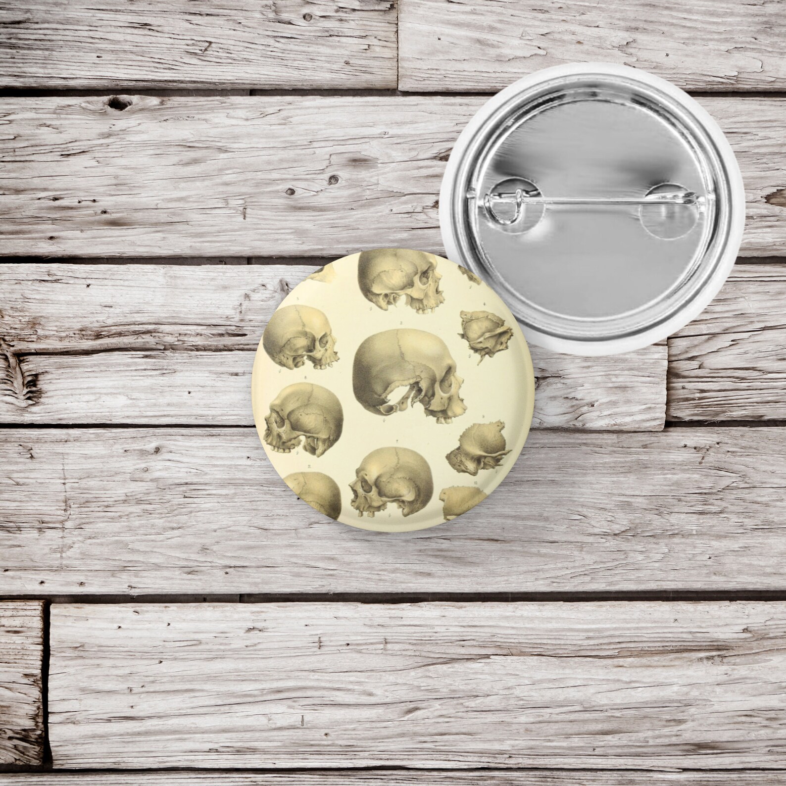 Skull Pin, Skull Pin Back Button, Skeleton Pin, Natural History Pin ...