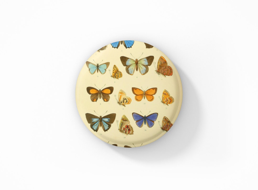 Butterfly Pin, Butterfly Pin Back Button, Moth Pin, Vintage Butterfly ...