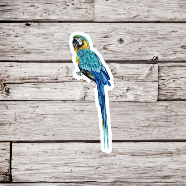 Macaw - Etsy