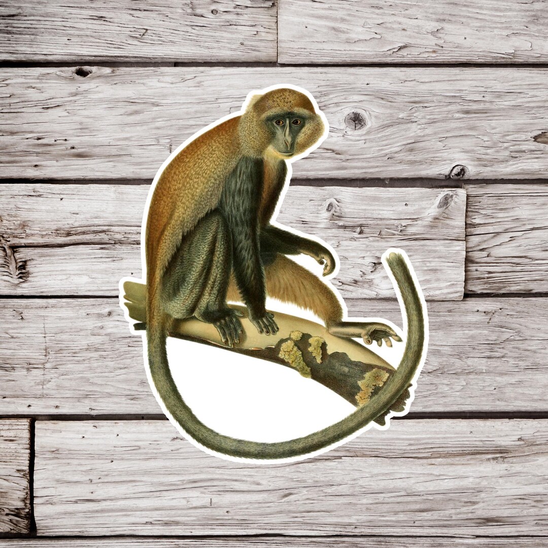 Monkey Sticker, Primate Sticker, Natural History Sticker, Animal ...