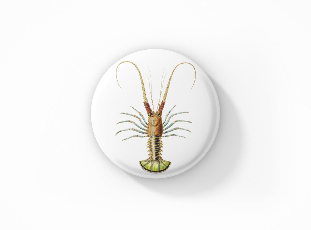Lobster Pin, Lobster Pin Back Button, Ocean Pin, Natural History Pin ...