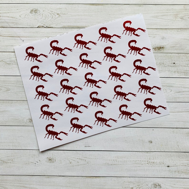 Scorpion Decal Scorpion Vinyl Decal Scorpion Sticker - Etsy