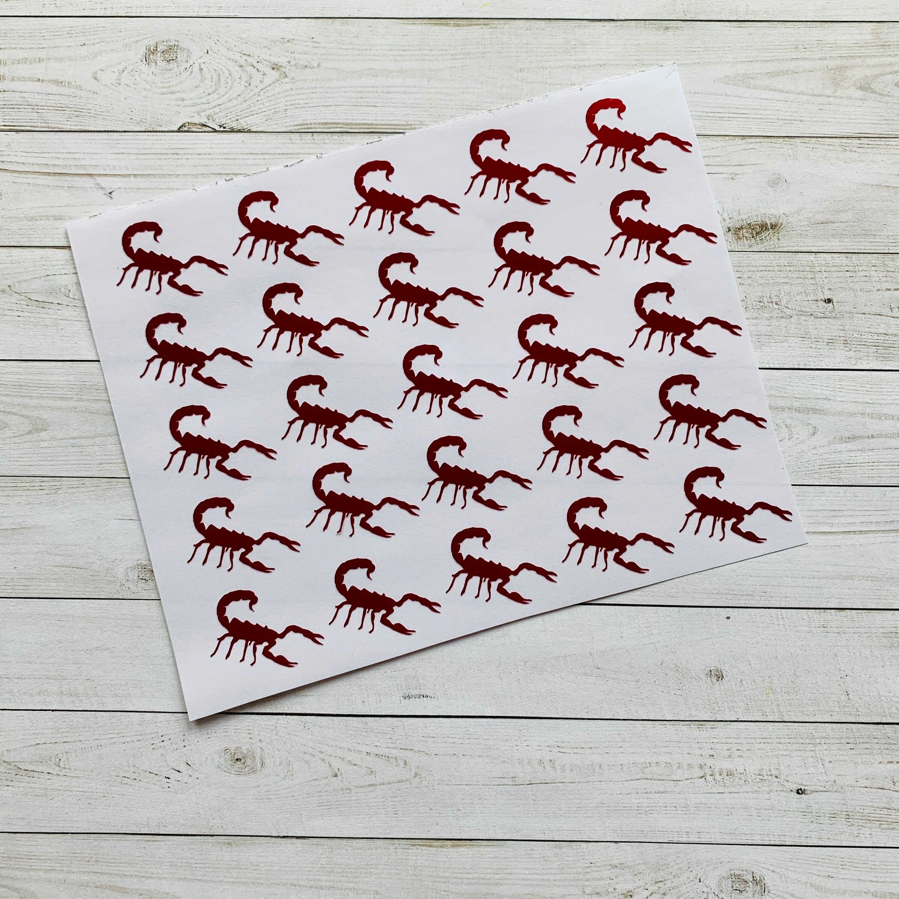 Scorpion Decal Scorpion Vinyl Decal Scorpion Sticker | Etsy