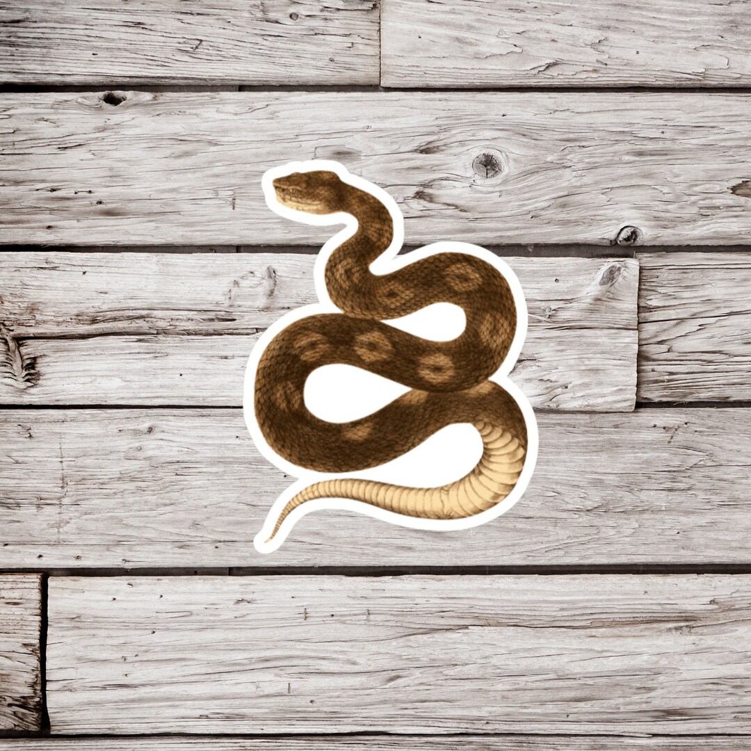 Snake Sticker, Reptile Sticker, Vintage Snake Sticker, Waterproof ...