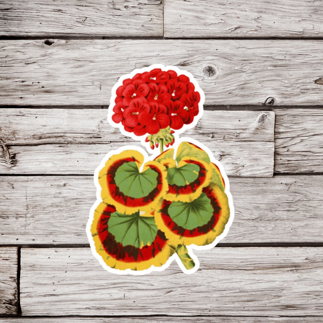 Geranium Sticker, Cranesbills Sticker, Flower Sticker, Botanical ...