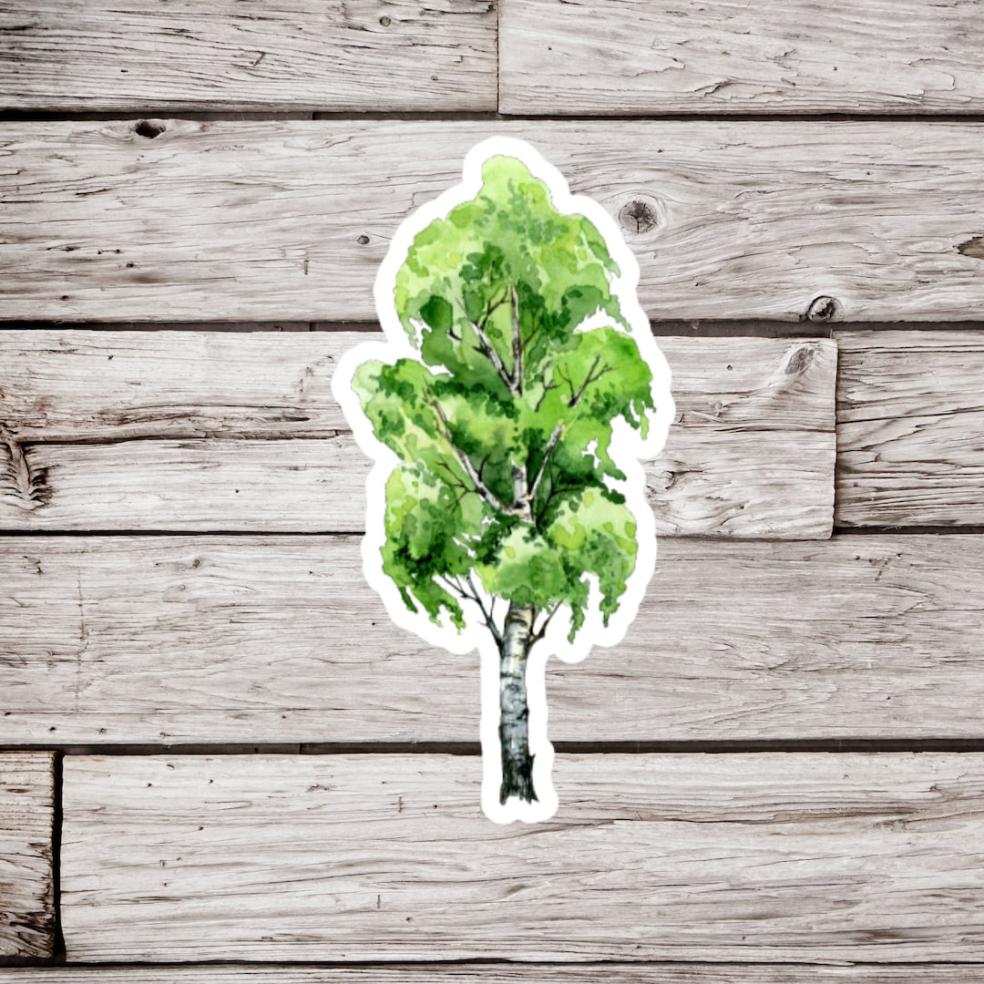Birch Tree Sticker or Magnet, Birch Tree Sticker, Birch Magnet, Tree ...