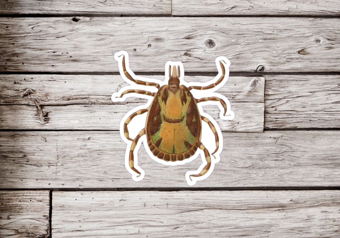 Tick Sticker, Insect Sticker, Entomology Sticker, Waterproof Sticker ...