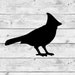Cardinal Decal | Cardinal Vinyl Decal | Cardinal Sticker | Blue Jay ...
