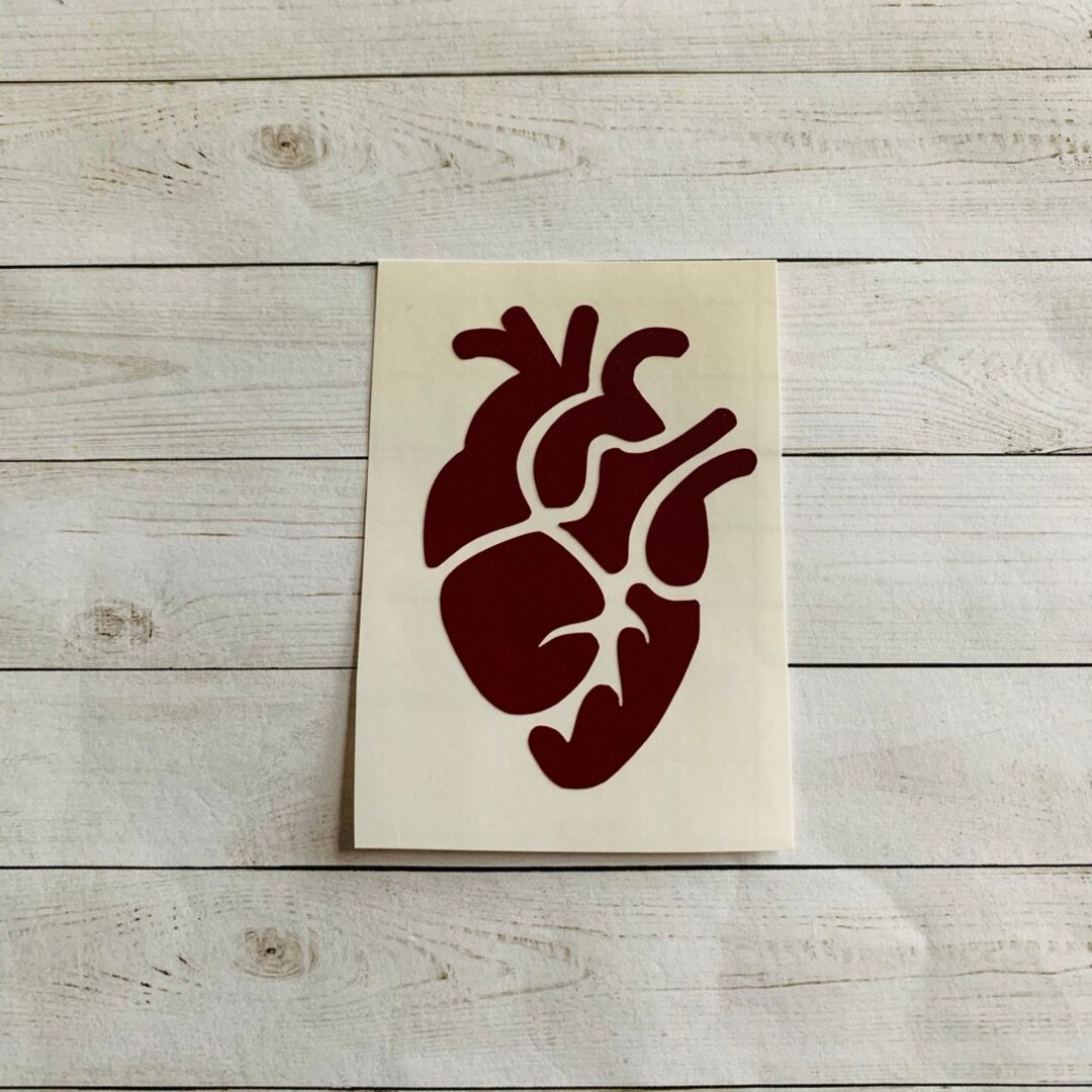 Heart Decal | Heart Sticker | Organ Decal | Organ Sticker | Medicine ...